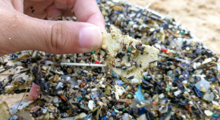 The oceans remove microplastics from the air - Sonnenseite ...